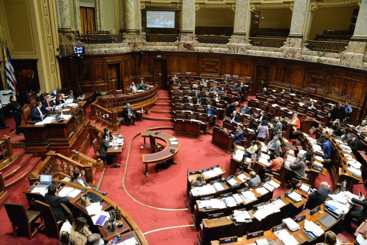 Con aportes importantes Cabildo Abierto votó afirmativamente la ...